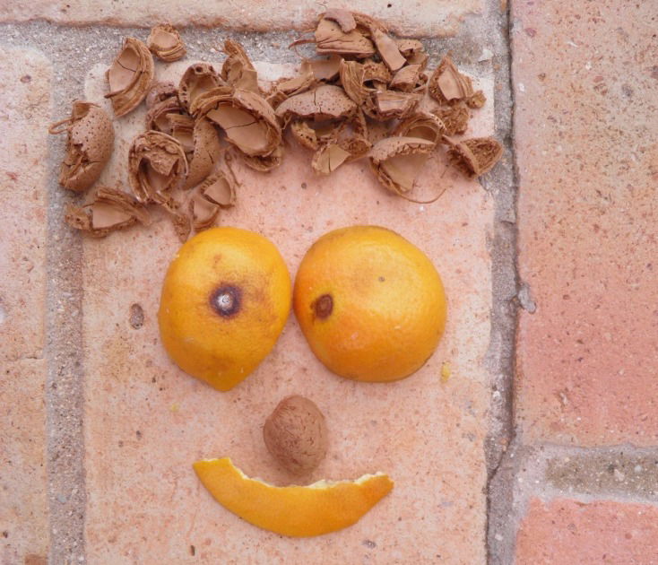 Fruta com Y - Dicio, Dicionário Online de Português