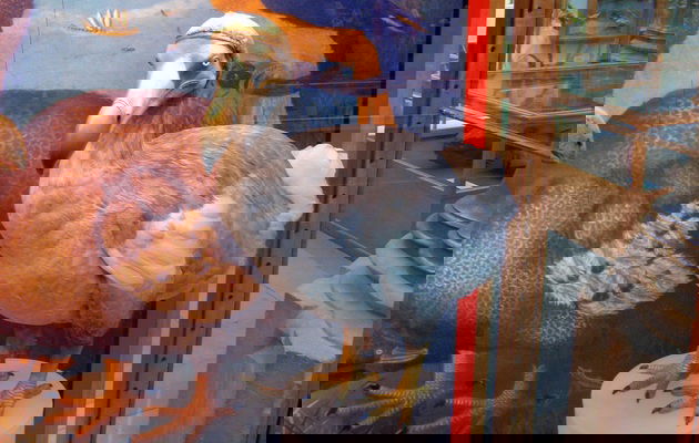 Animal com D - Dúvidas de Português no Dicio