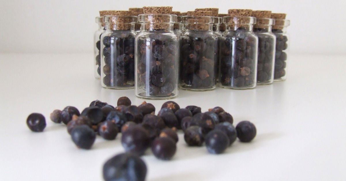 Fruta com Z - Dicio, Dicionário Online de Português