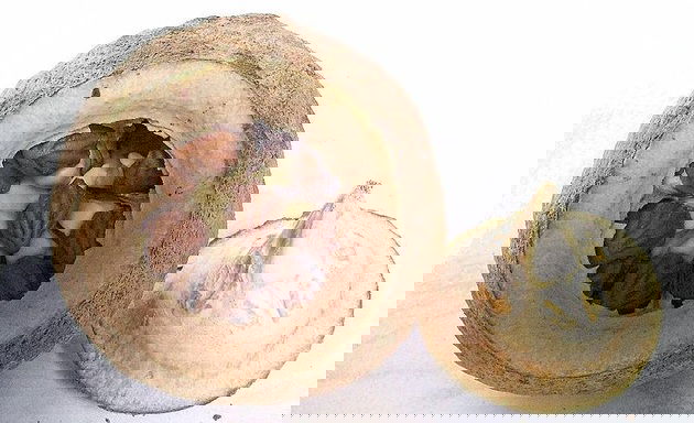 Fruta com S - Dúvidas de Português no Dicio